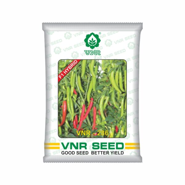 VNR f1 CHILLI HYBRID 286 (10 gm) - LeafConAgro