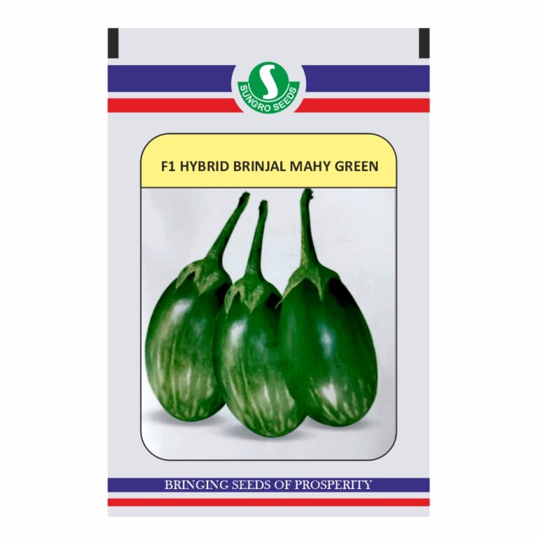 mahyco BRINJAL HY. MHBJ-110 10 GM - LeafConAgro