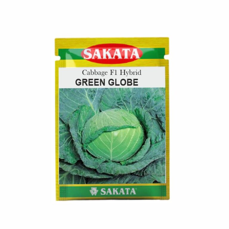 SAKATA CABBAGE F1 GREEN GLOBE (10 GM) (POUCH) - LeafConAgro