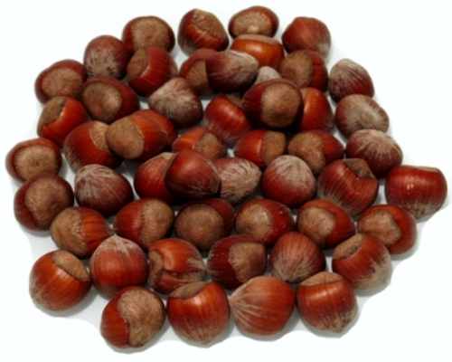 Inshell Hazelnuts of grading - LeafConAgro