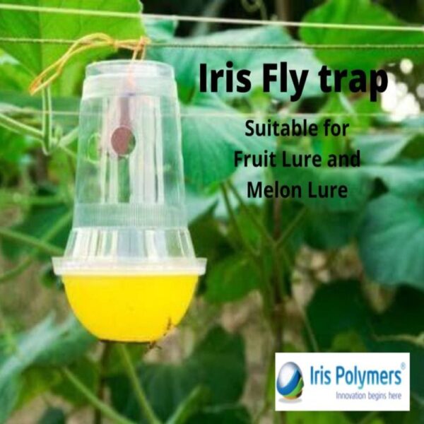 IRIS FLY TRAP - LeafConAgro