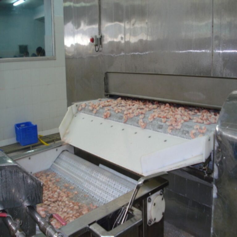 MECH-AIR Industrial Instant Quick Freezing Equipment - LeafConAgro