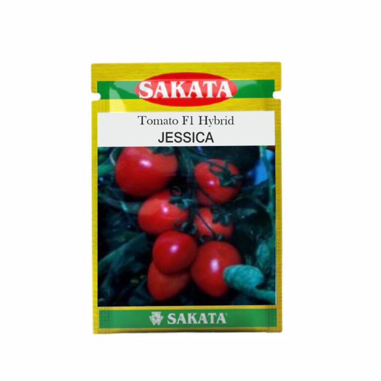 SAKATA TOMATO F1 JESSICA (10 GM) (POUCH) - LeafConAgro