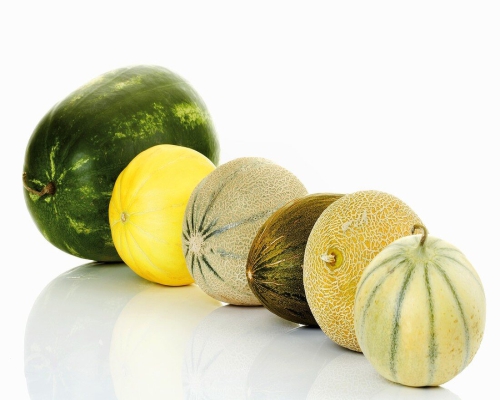 Melons grading - LeafConAgro