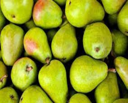 QUALITY OF PEARS - LeafConAgro