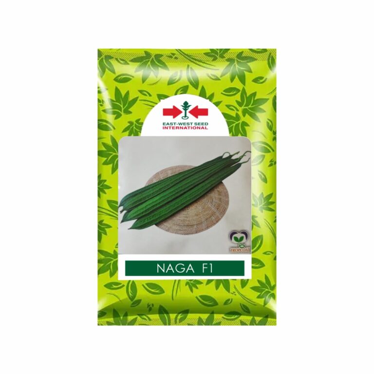 East West RIDGEGOURD NAGA (50 GM) - LeafConAgro