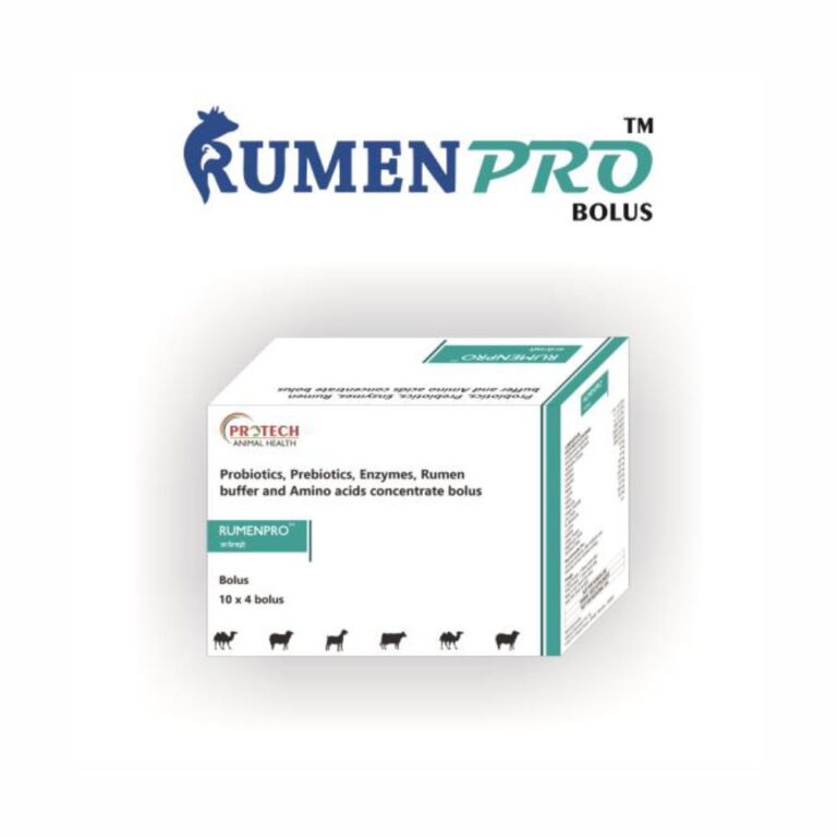 PROTECH RUMENPRO (BOLUS) (PER STRIP) - LeafConAgro