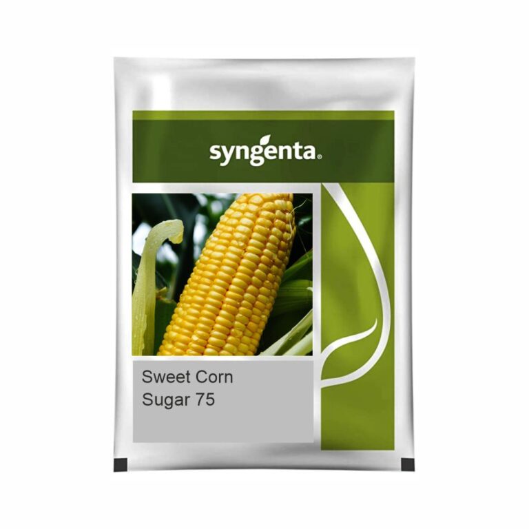 SYNGENTA SWEET CORN Sugar Duo (1 kg) - LeafConAgro